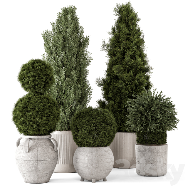 Outdoor Plants Pine Bush and Tree -Bush Set 2288
