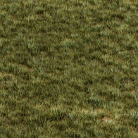 Short Grass Set 29 - Grass - 3D model