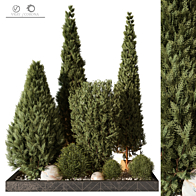 Outdoor Plant 247 - Outdoor - 3D model
