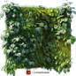 Phytowall 1 - Fitowall - 3D model