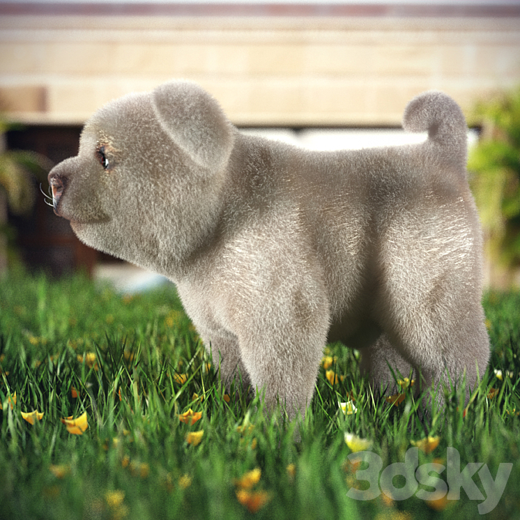 DOG, PET - Creature - 3D model