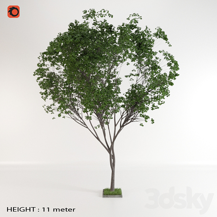 trees - Tree - 3D model