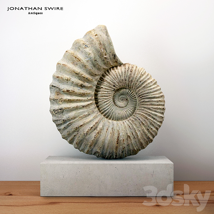 Large Ammonite Mounted on a Limestone Base - Sculpture - 3D model