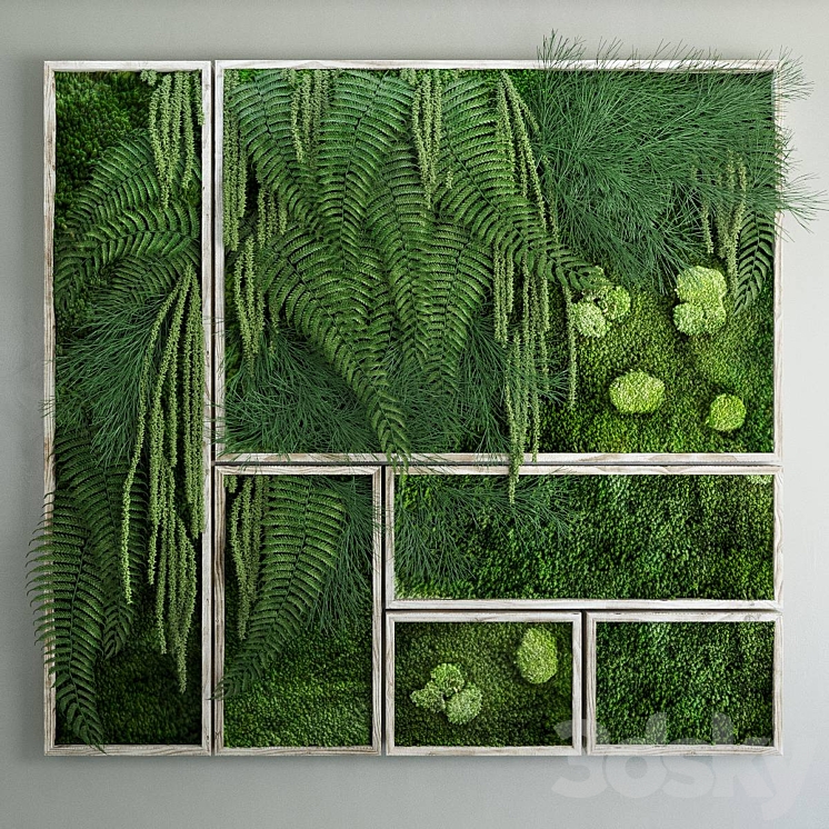 Moss and fern fytowall - Fitowall - 3D model
