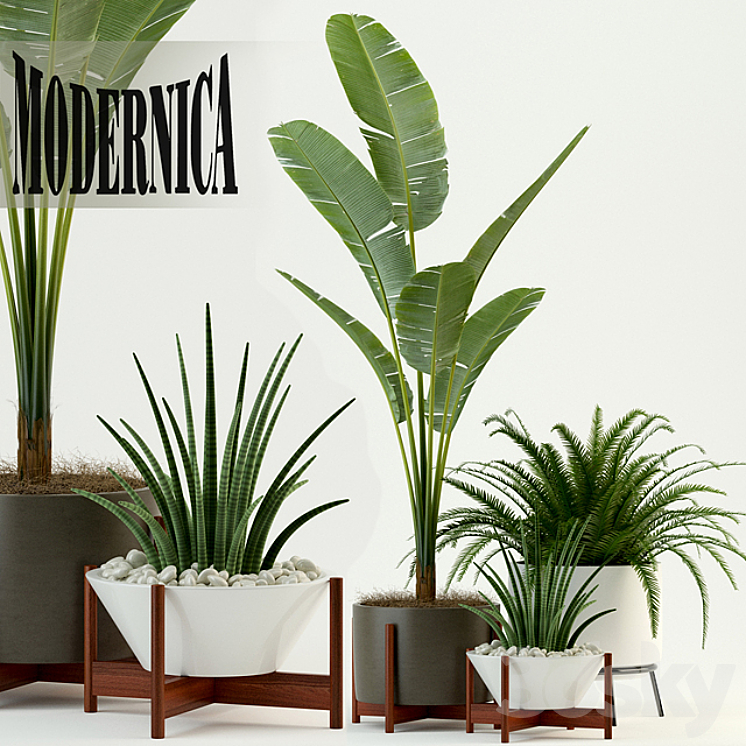 Plants collection 76 Modernica pots - Indoor - 3D model
