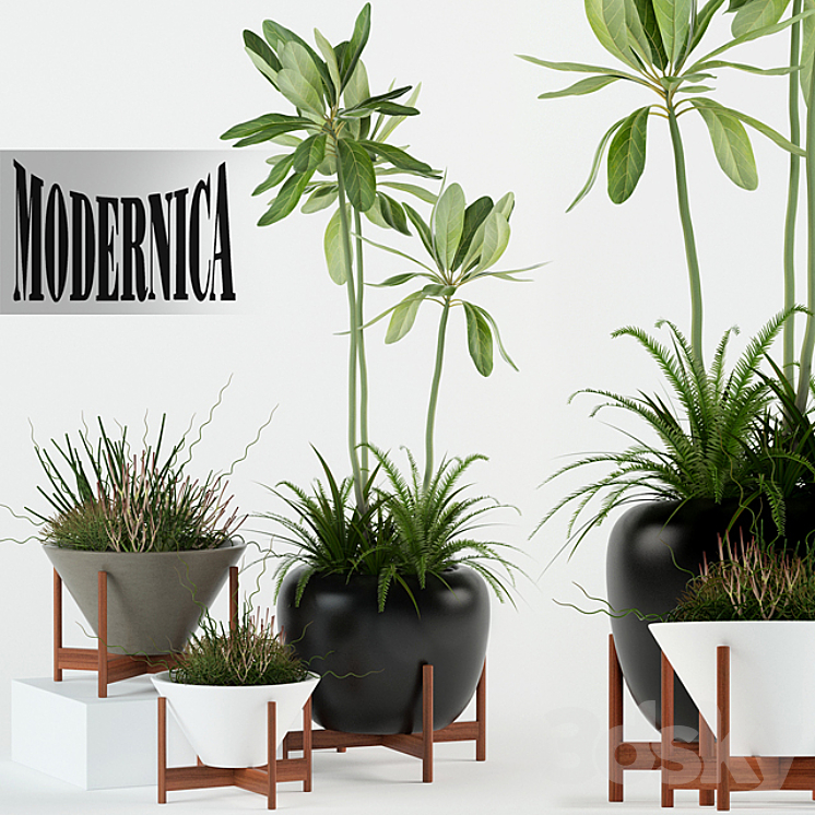 Plants collection 77 Modernica pots - Indoor - 3D model