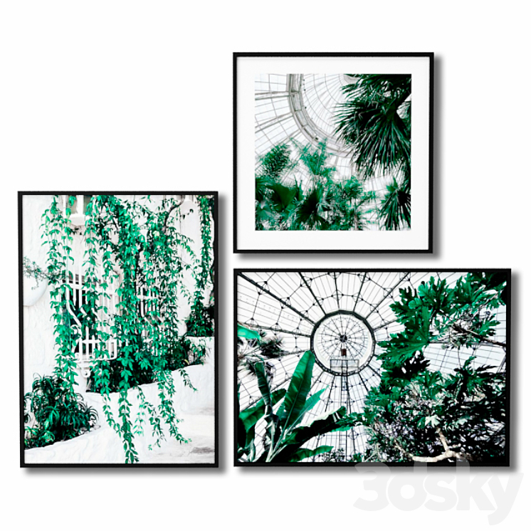 Posters with a botanical garden. - Frame - 3D model