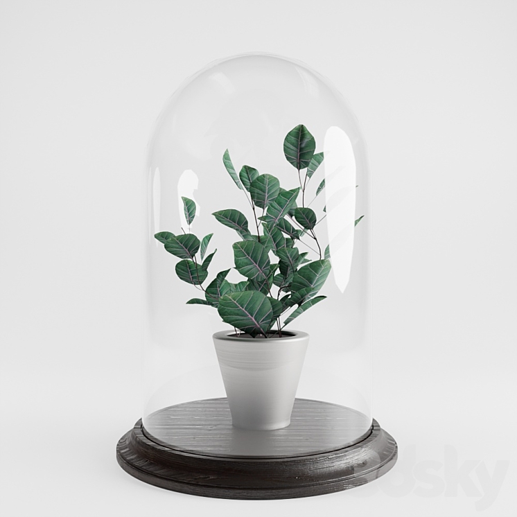 Bell jar - Indoor - 3D model