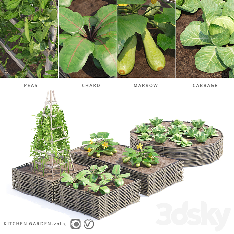 Vegetable garden | Kitchen garden.vol 3 - Outdoor - 3D model