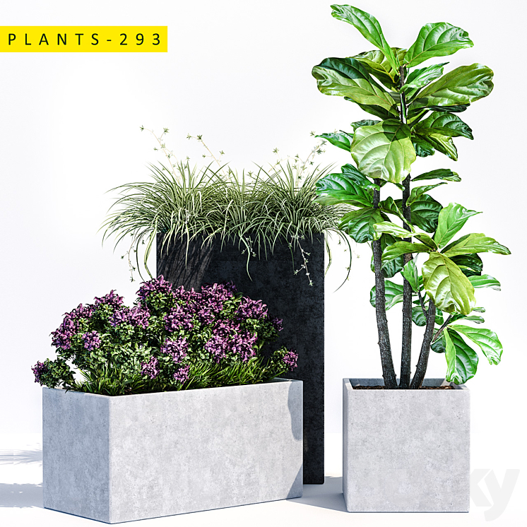 plants 293 - Outdoor - 3D model