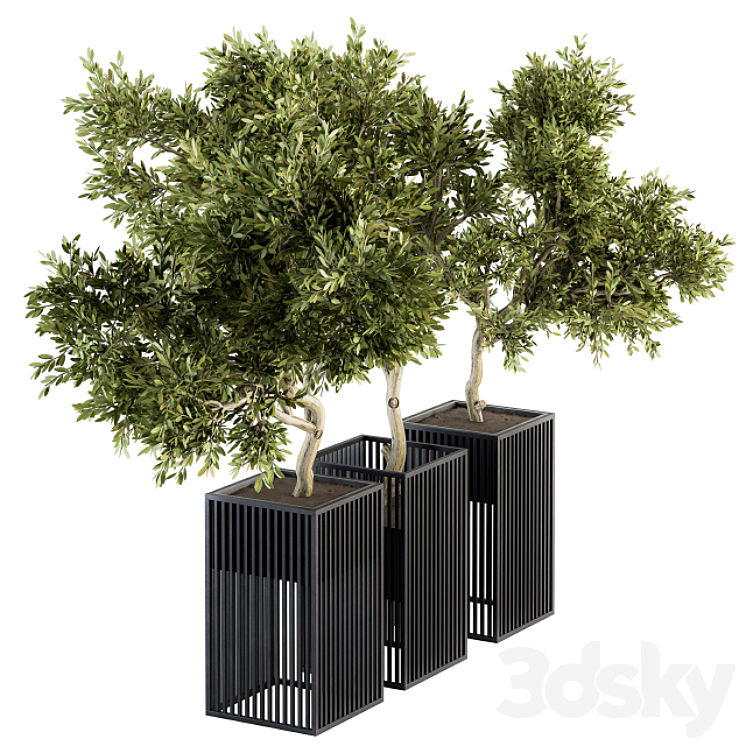 Outdoor Plants tree in Metal Pot - Set 134 - Outdoor - 3D model