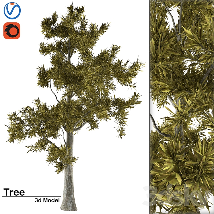 Tree 04 - Tree - 3D model
