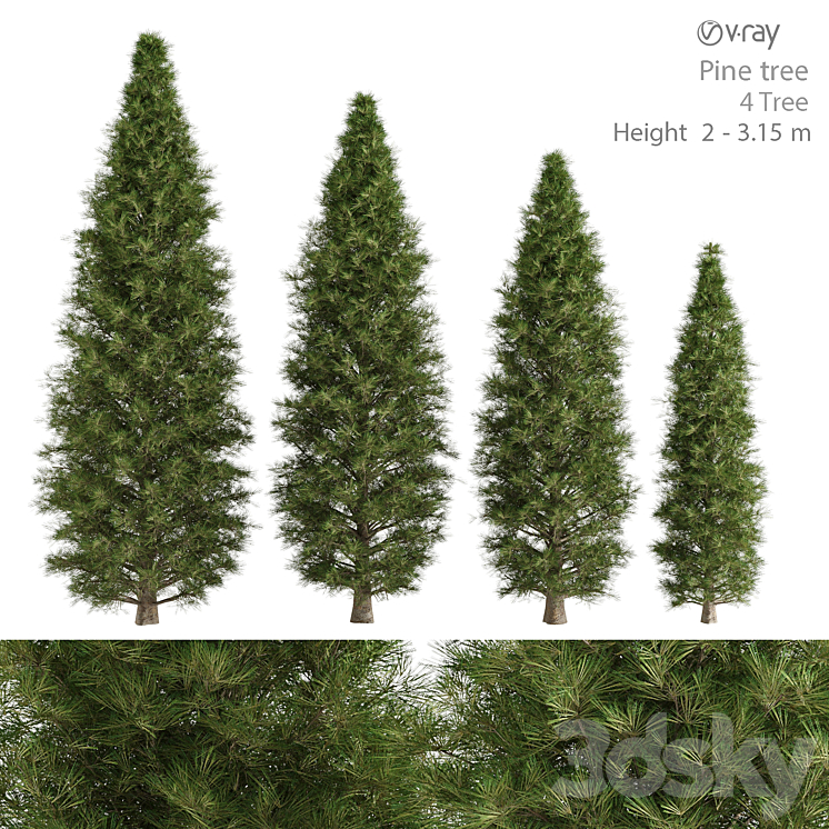 Pine Tree_02 - Tree - 3D model