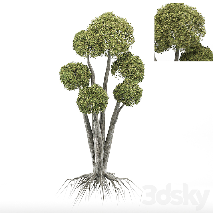 Decorative tree - Tree - 3D model