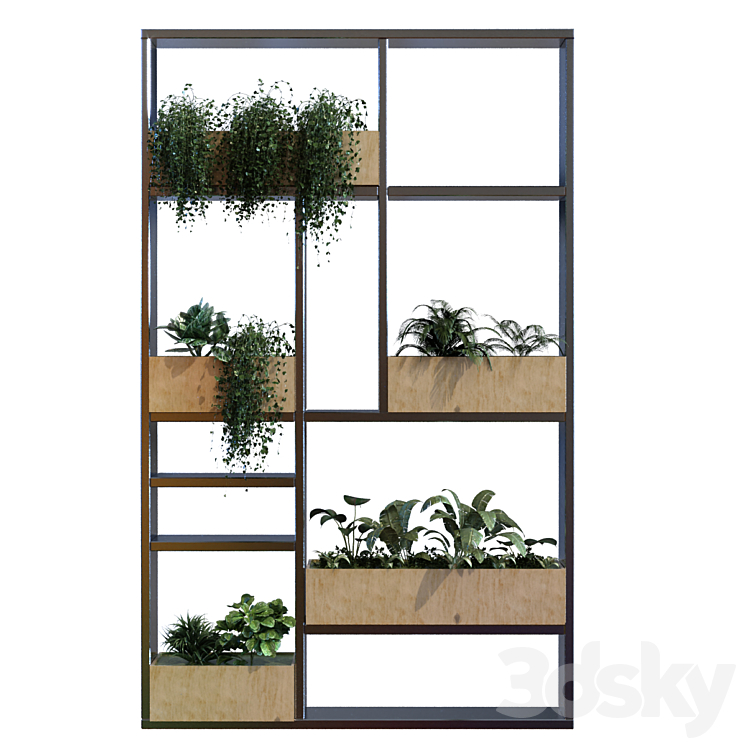 partition plant in box set 043 - Indoor - 3D model