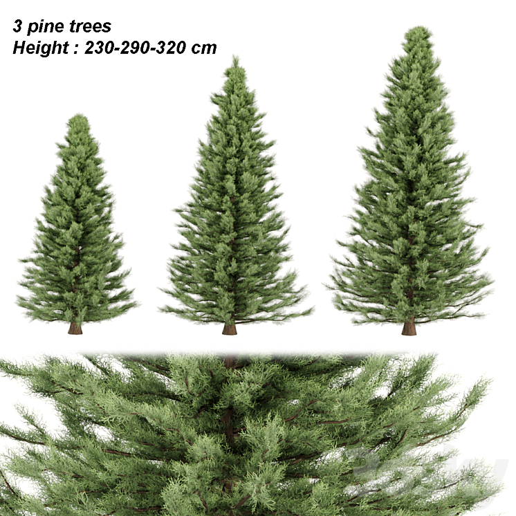pine trees collection vol 22 - Tree - 3D model