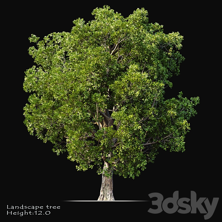 Big tree - Tree - 3D model