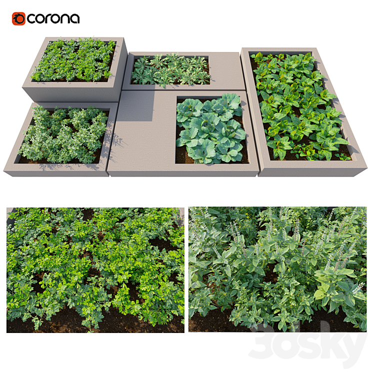 Rooftop Kitchen Garden - Outdoor - 3D model