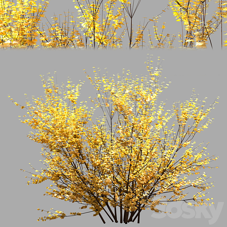 yellow bush 01 - Bush - 3D model