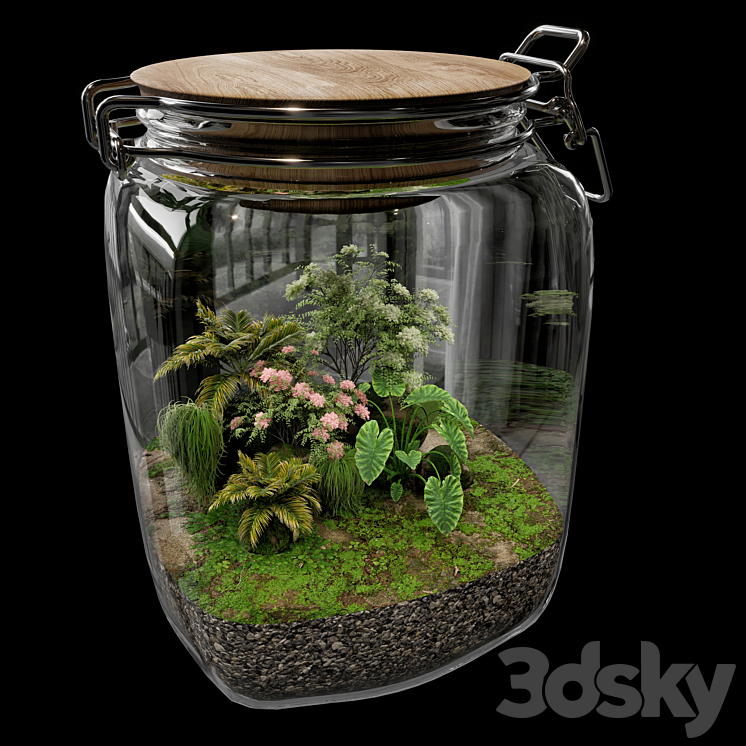 TERRARIUM PLANTS COLLECTION NO5 - Indoor - 3D model