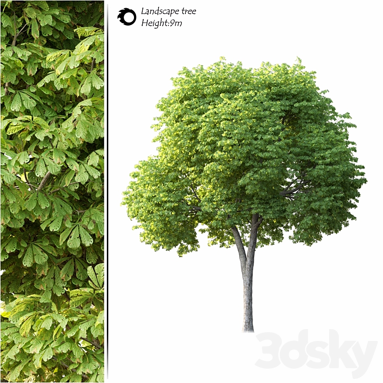 tree - Tree - 3D model