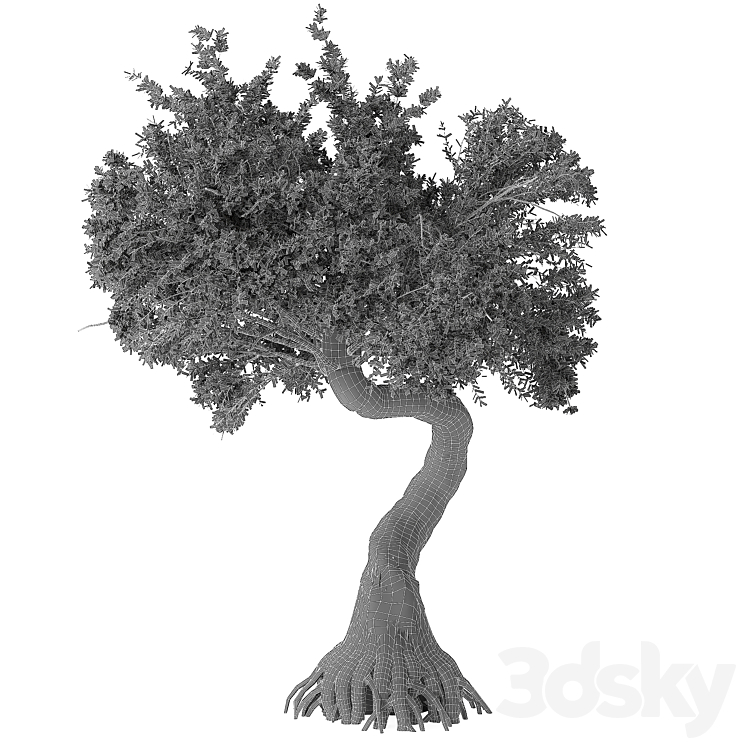 Twisted tree 01 - Tree - 3D model