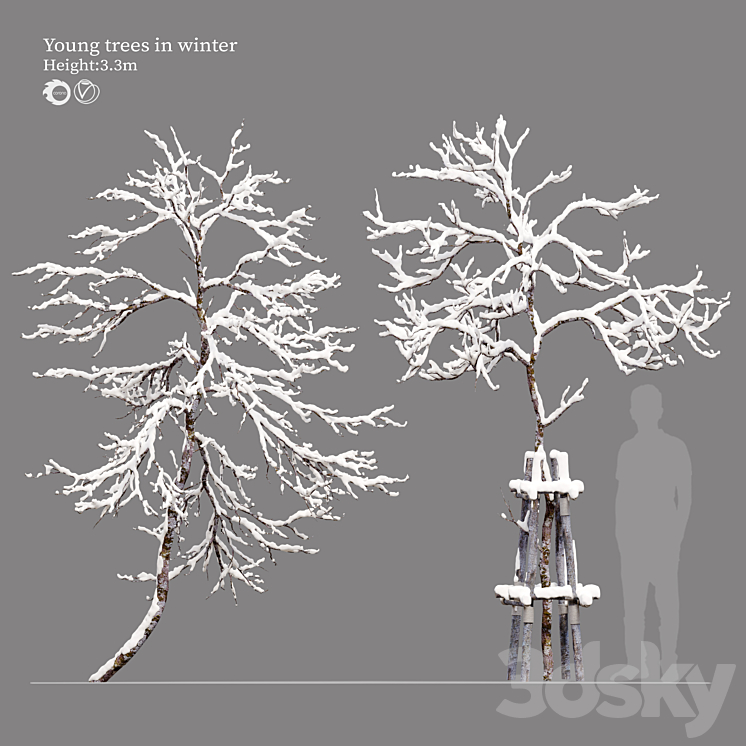 winter young trees - Tree - 3D model