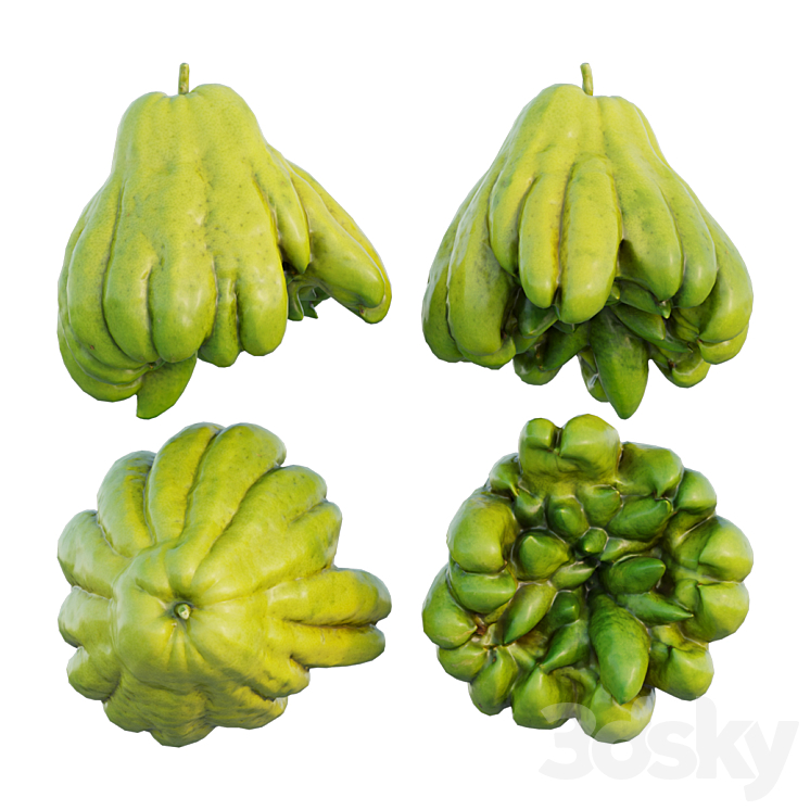 fingered citron - Food and drinks - 3D model