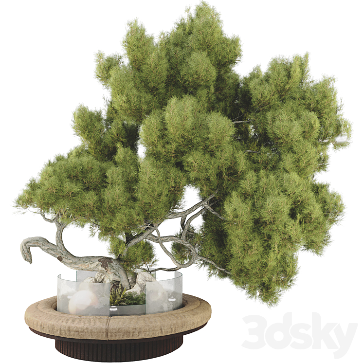 Backyard and Landscape Set Bush and Tree 91 - Outdoor - 3D model