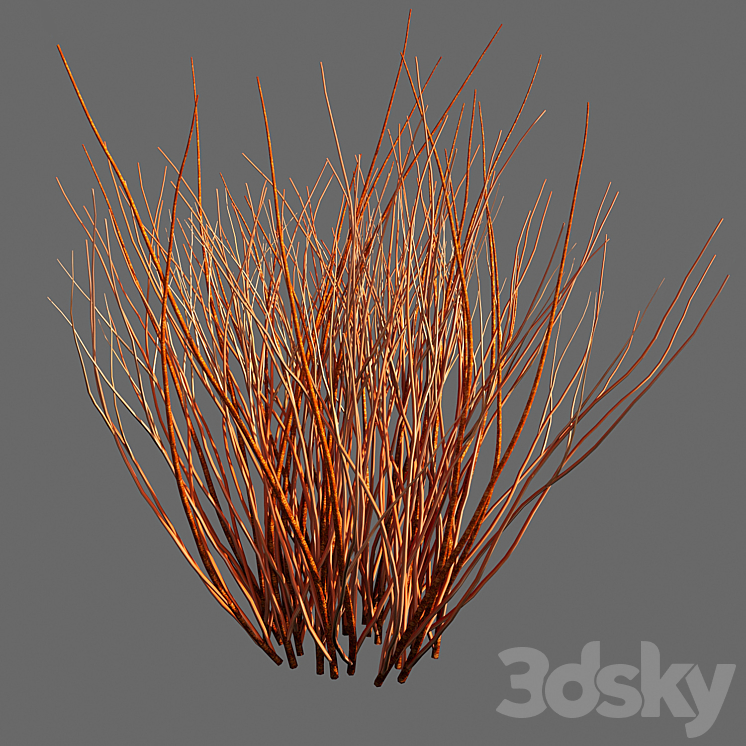 Red Osier Dogwood - Bush - 3D model