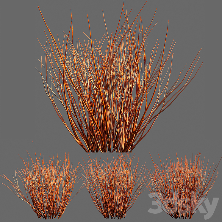 Red Osier Dogwood - Bush - 3D model