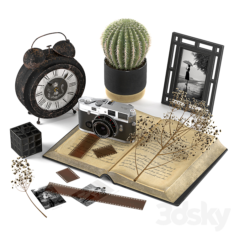 Leica Camera Vintage Decorative Set For Photographers - Decorative set ...