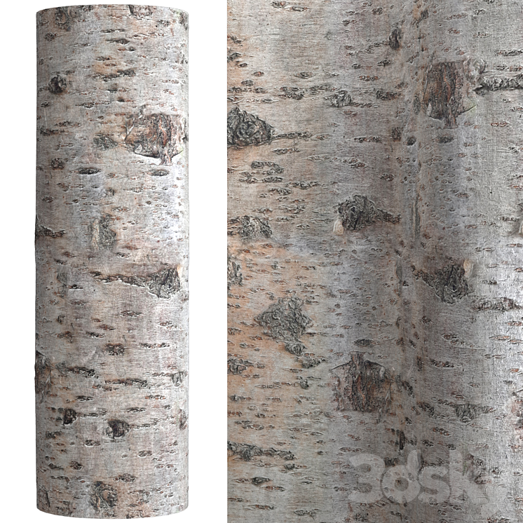 Tree bark material - Miscellaneous - 3D model