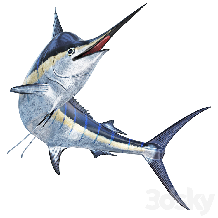Marlin fish - Creature - 3D model