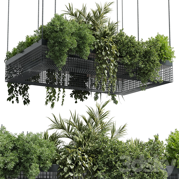hanging plants - indoor plant set 447 Rectangle pendant pot vray ... hanging plants - indoor plant set 447 Rectangle pendant pot vray ...