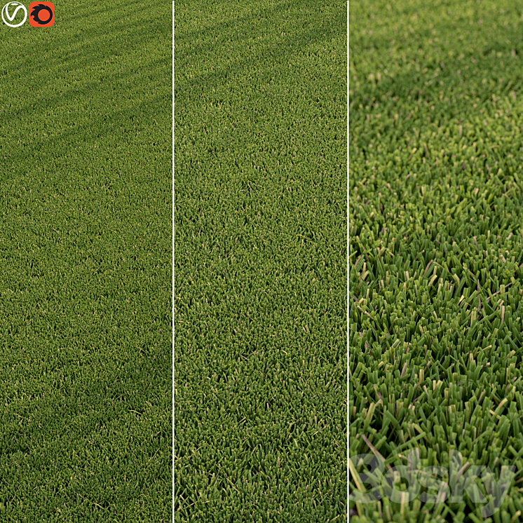 Lawn Grass 02 Scatter - Grass - 3D model
