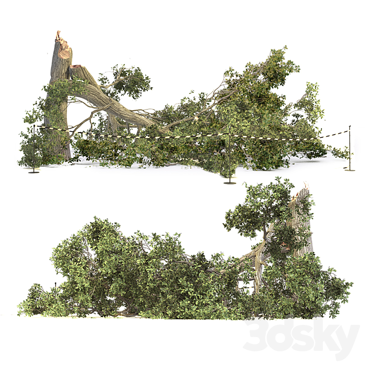 Fallen Trees - Tree - 3D model