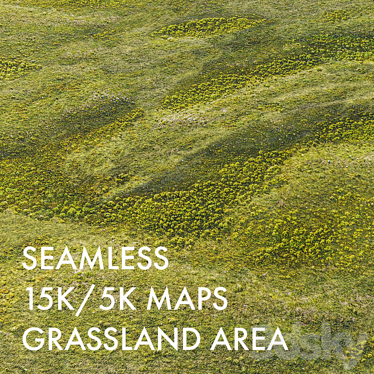 Grassy grassland material | Seamless | PBR - Natural materials - 3D model