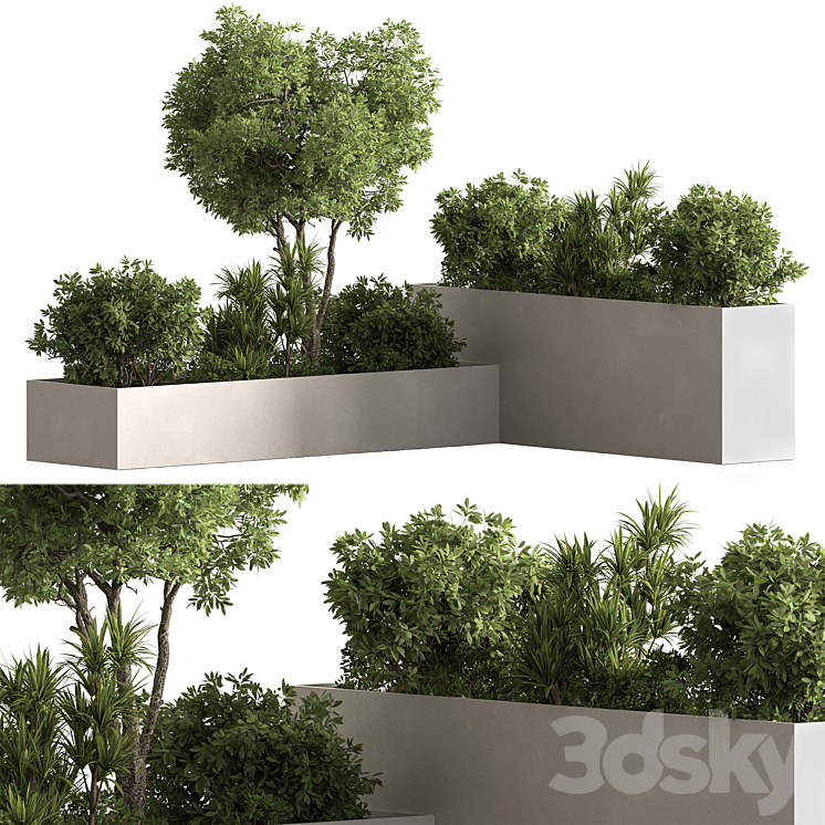 Plant Box - Outdoor Plants 632 - Outdoor - 3D model