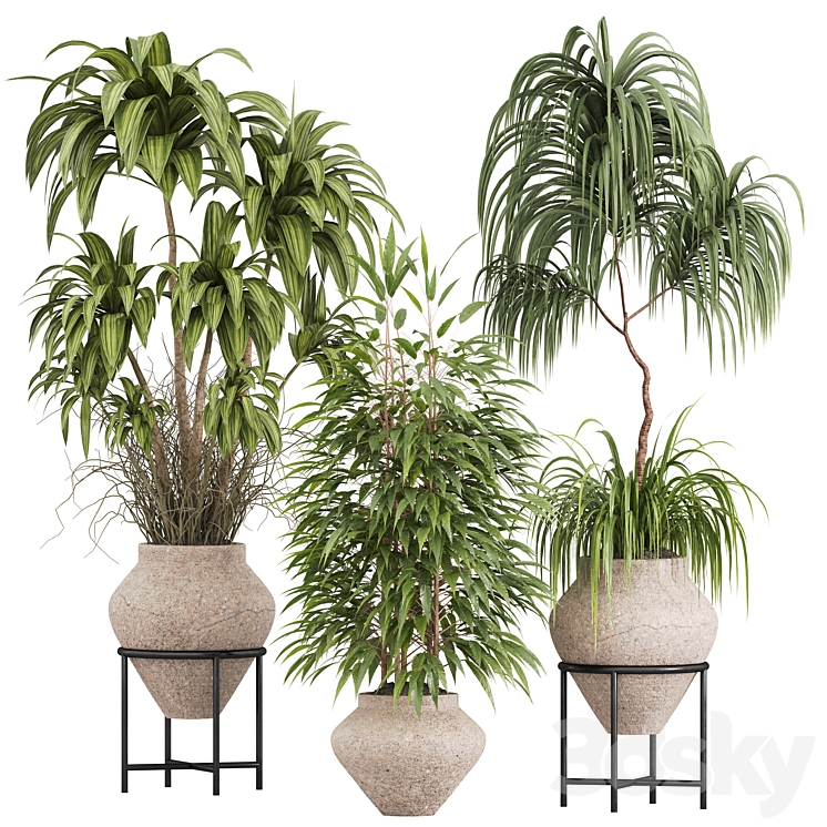Indoor Plants Set 056 Indoor 3d Model