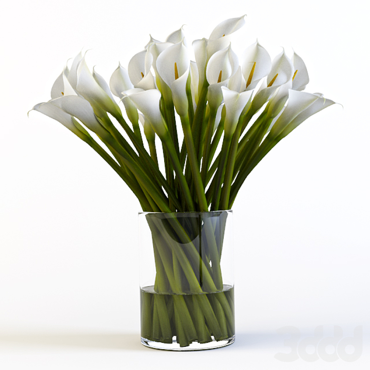 Каллы - Букеты - 3D модель