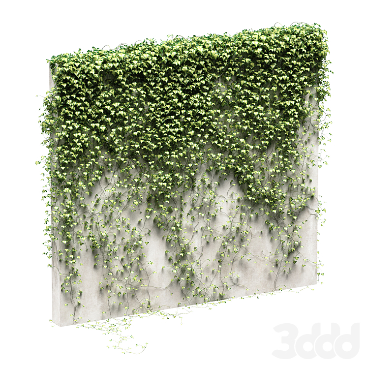 Плющ для забора v3 - Уличные - 3D модель