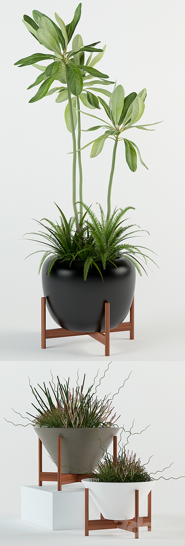 Plants collection 77 Modernica pots - Indoor - 3D Models